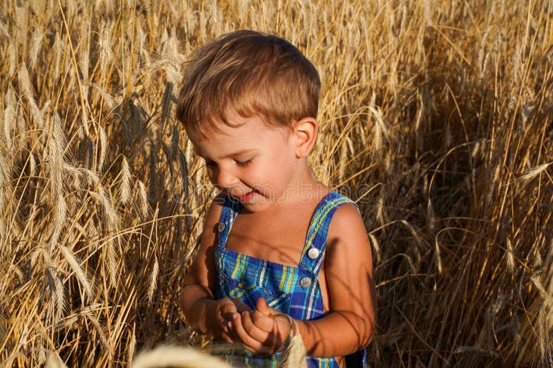A Child in a Field among Wheat Spikelets. the Concept of World Hunger ...