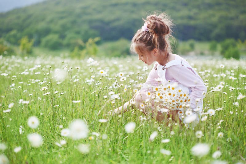 Child in field stock image. Image of beautiful, landscape - 40809721