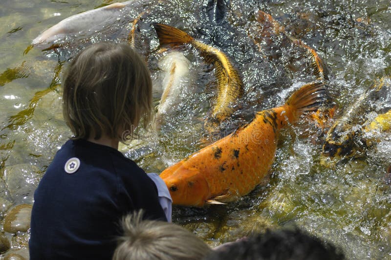 Child and fish stock image. Image of little, toddler, shirt - 1980483
