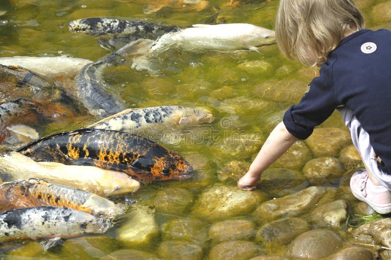 Child And Fish Picture. Image: 1980490