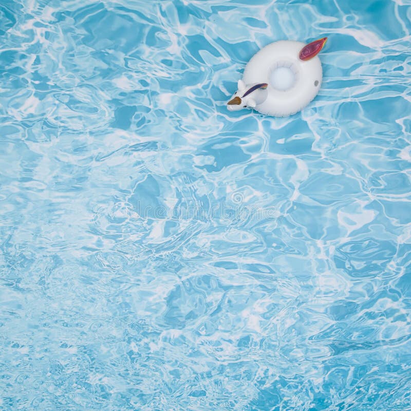 Pool Float for Children, Ring Floating in a Refreshing Blue Pool Stock ...