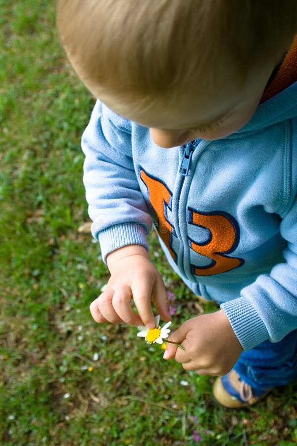 Child with a Flower stock image. Image of interested, lovable - 2445385