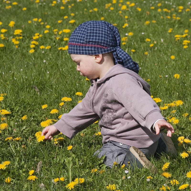 Child in flowers stock image. Image of flower, nature - 18980273