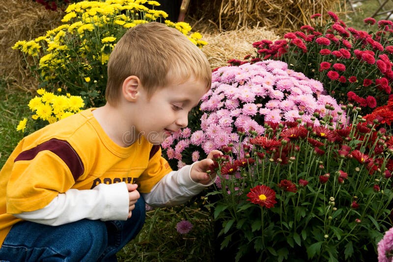 Child with flowers stock image. Image of flowers, preschool - 4004317