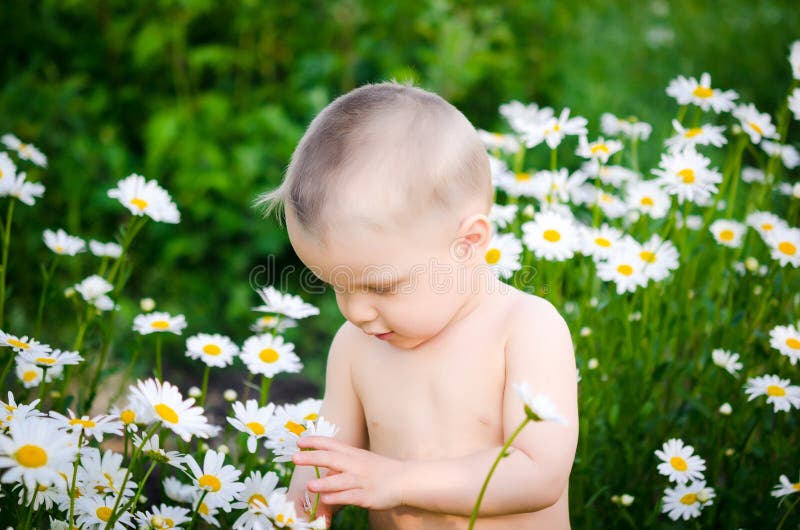 Child with flowers stock image. Image of emotional, field - 31737195
