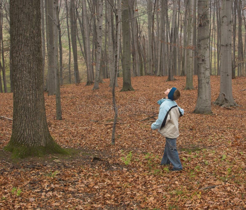 Child in the forest stock photo. Image of outdoors, play - 1646528