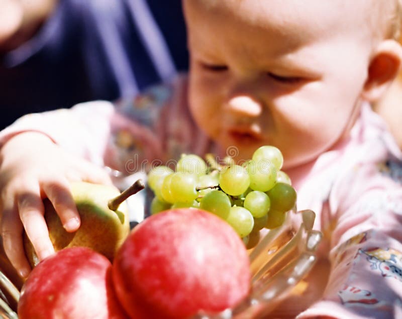 Child with fruit stock photo. Image of green, garden, softfocus - 1979580