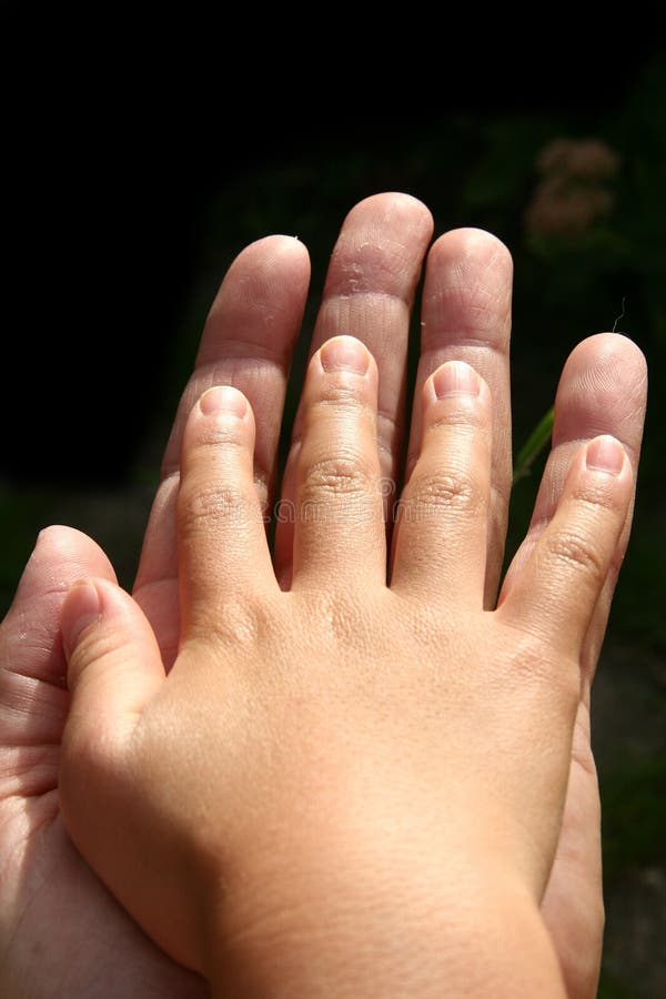 Child hand stock photo. Image of children, size, family - 812440