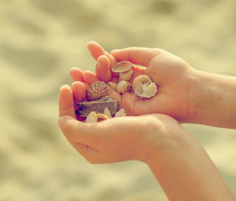 Child Hands Holding Sea Shells. Stock Image - Image of holding, holiday ...