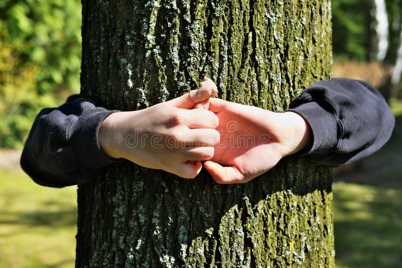 Child Hands Hugging an Oak Tree Stock Photo - Image of health, arms ...