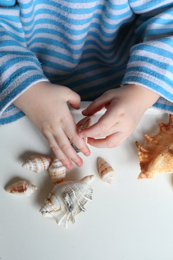 Child hands sea shell stock image. Image of learning - 67966387
