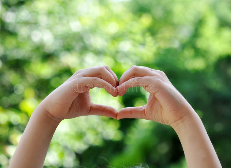 Child Hands in Shape of Love Heart on Nature Stock Photo - Image of ...