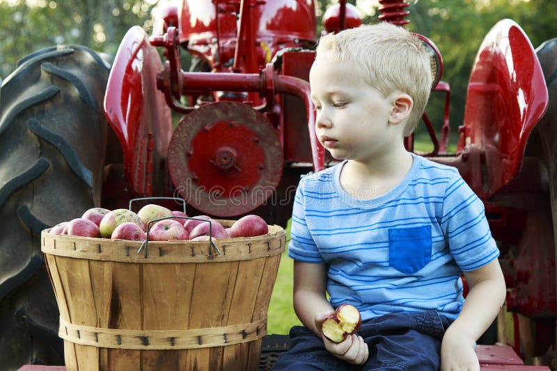 Child Having Fun Apple Picking and Sitting on a Red Antique Tractor ...