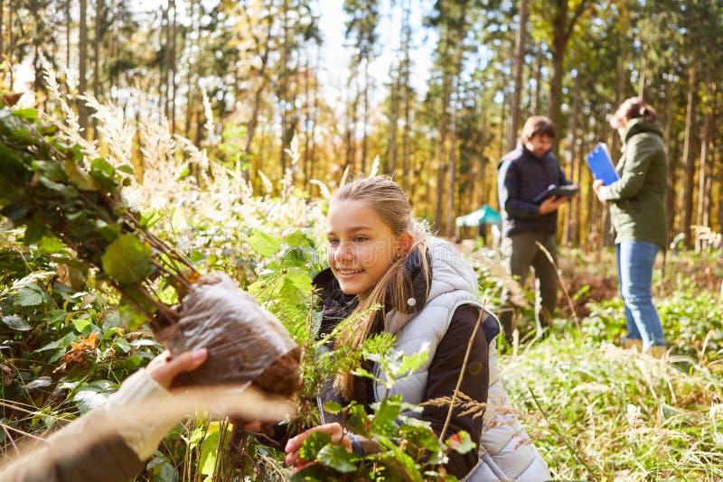 Family and Volunteers Plant Trees in the Forest Stock Image - Image of ...