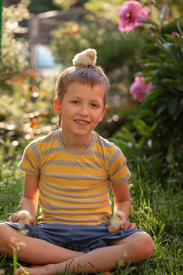Child Holding a Chicken in His Hands in Summer Day Stock Image - Image ...