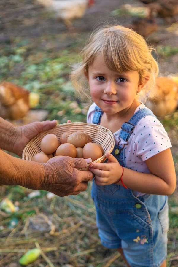 Child Holding Eggs on a Farm. Selective Focus Stock Photo - Image of ...