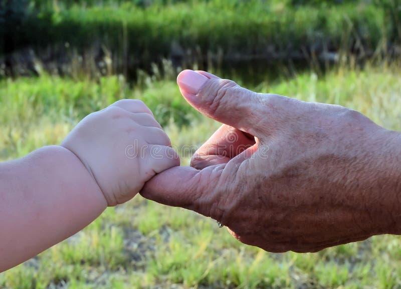 Child Holding Grandparents Hand Stock Image - Image of hands, support ...