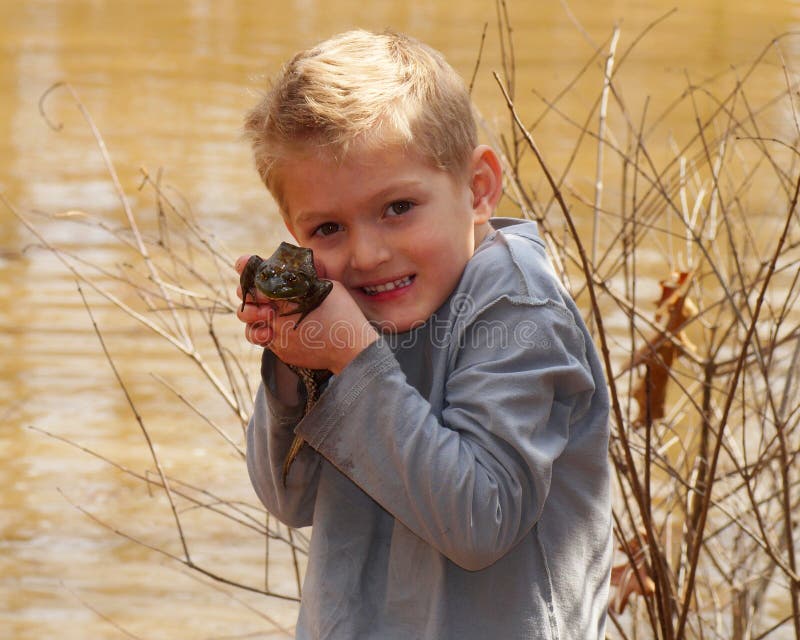 Moccasin Eating Bullfrog 1 stock image. Image of marsh - 8275741