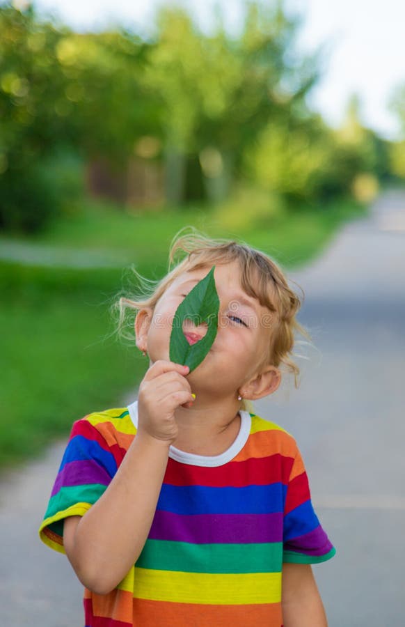 Child Holding a Leaf of a Plant. Selective Focus Stock Image - Image of ...