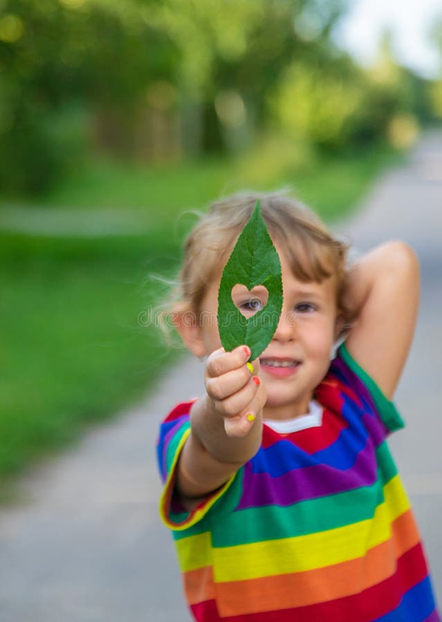 Child Holding a Leaf of a Plant. Selective Focus Stock Image - Image of ...