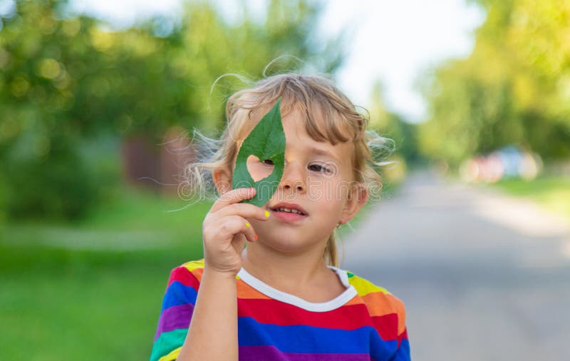 Child Holding a Leaf of a Plant. Selective Focus Stock Image - Image of ...