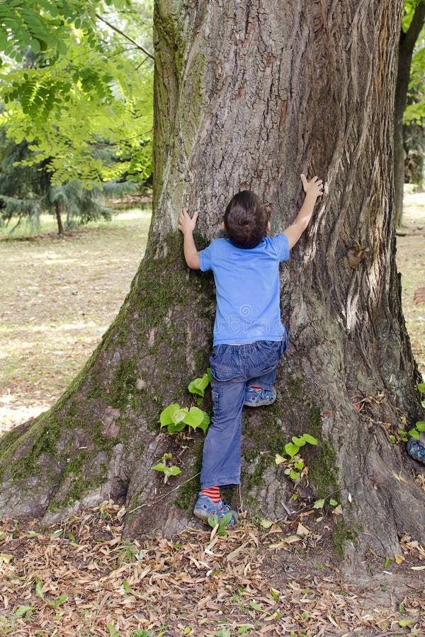 Child Hugging and Climbing Tree Stock Photo - Image of outdoors, small ...