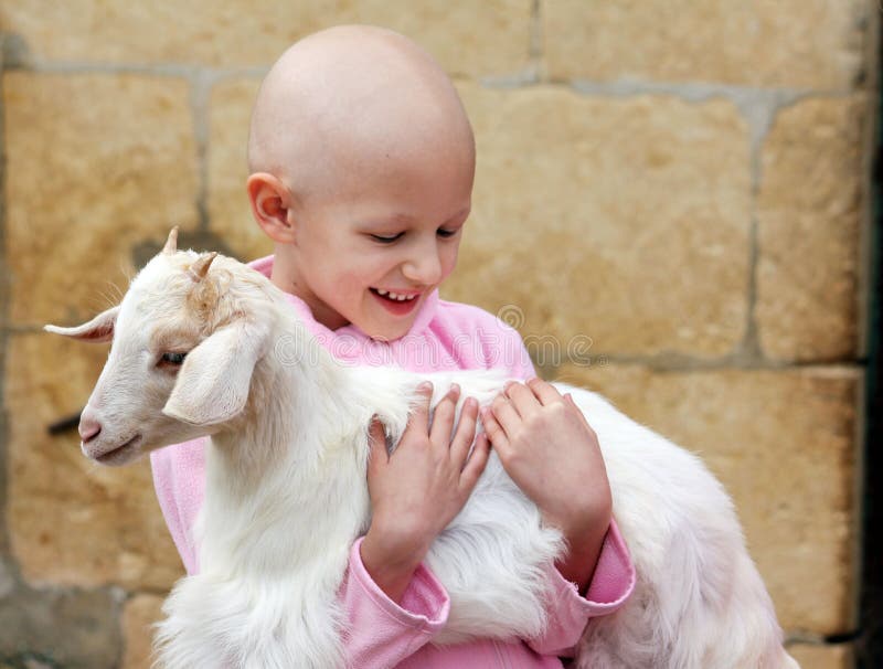 Child hugging goat stock image. Image of human, chemotherapy - 34623343