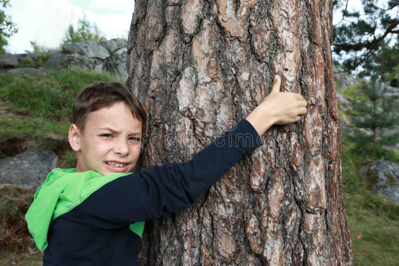 Child hugging pine tree stock image. Image of outdoor - 198438357
