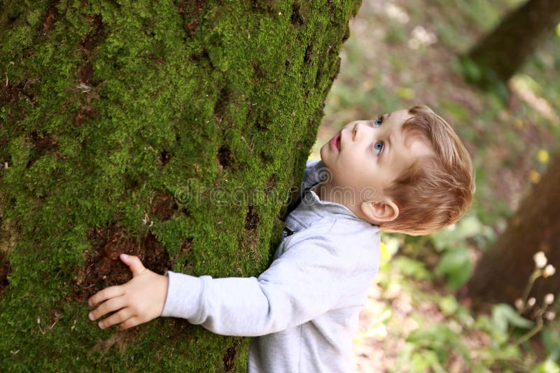 Child hugging tree stock photo. Image of green, outdoor - 100064484