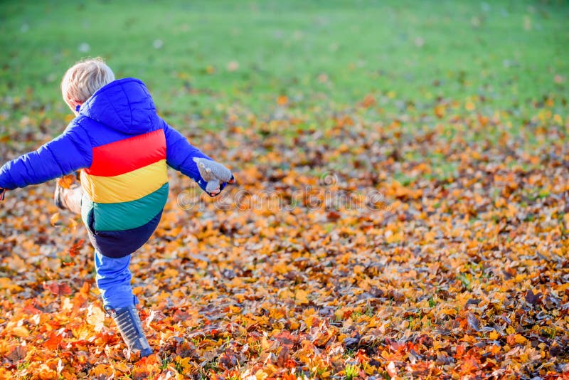 Child Kicking Leaves and Having Fun Playing in the Park Stock Photo ...