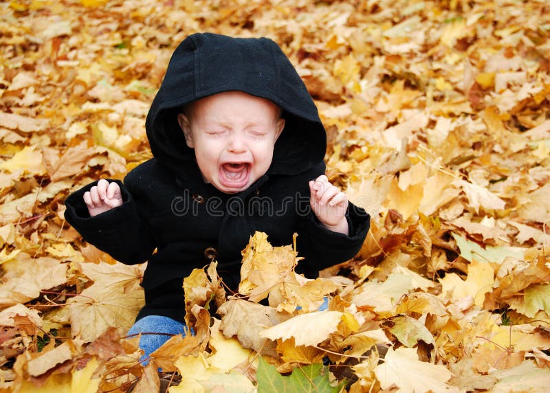 Child with leaves crying stock image. Image of fall, upset - 14326555