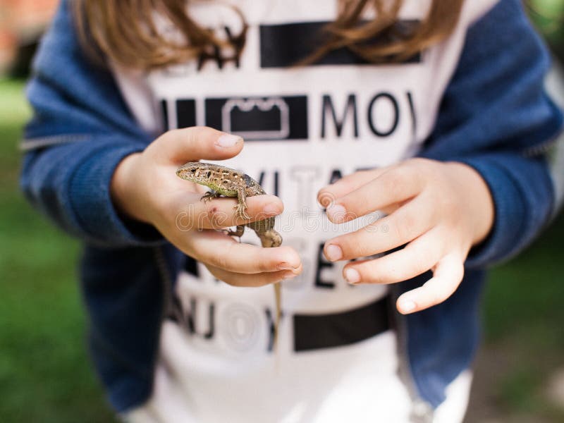 Child and lizard stock photo. Image of adventure, fascination - 293872592