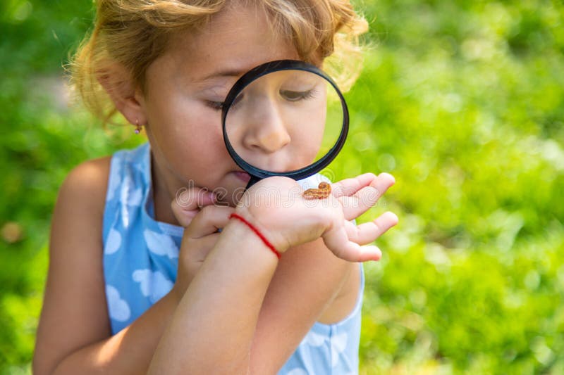 Child Looking at Caterpillar in Garden. Selective Focus Stock Image ...