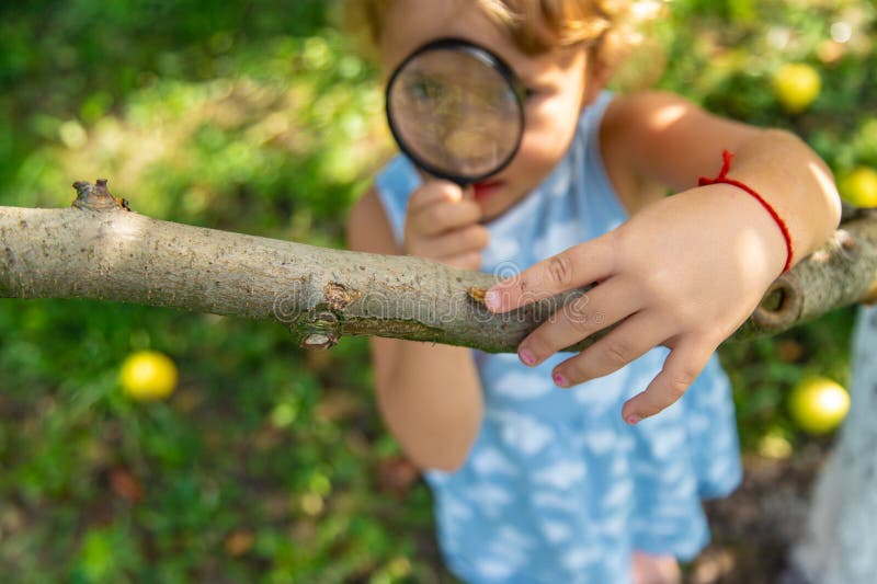 Child Looking at Caterpillar in Garden. Selective Focus Stock Image ...