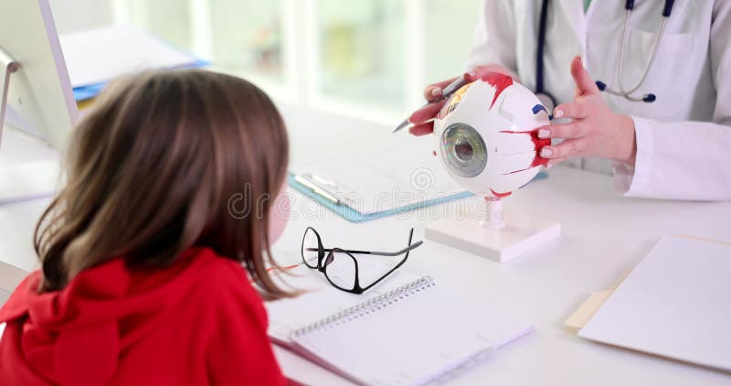 The Child Looks at the Anatomical Eye, Close-up Stock Video - Video of ...