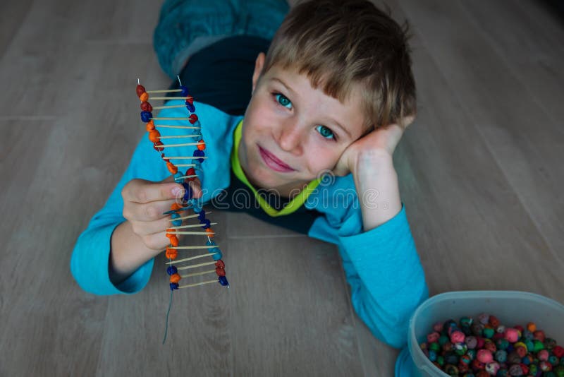 Child Making DNA Model from Sticks and Clay, Engineering and STEM Stock ...