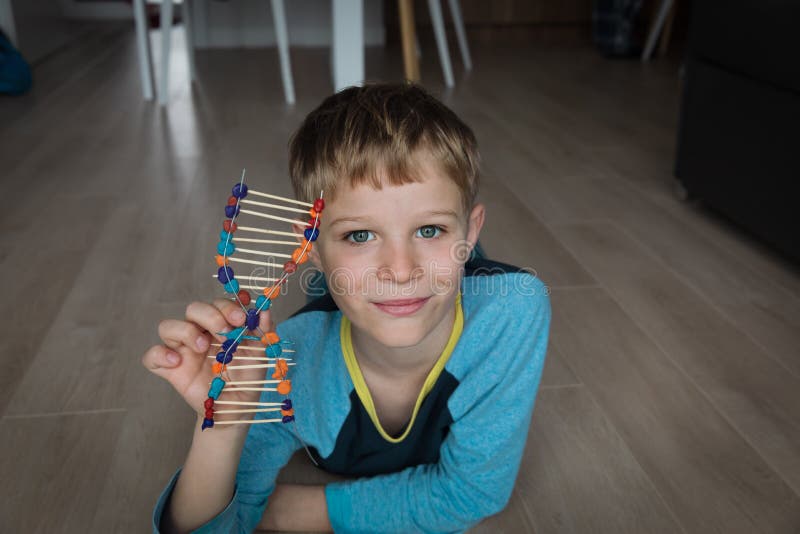 Child Making DNA Model from Sticks and Clay, Engineering and STEM Stock ...