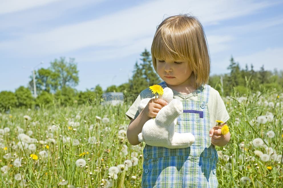 Child in the meadow stock photo. Image of grass, child - 3042296