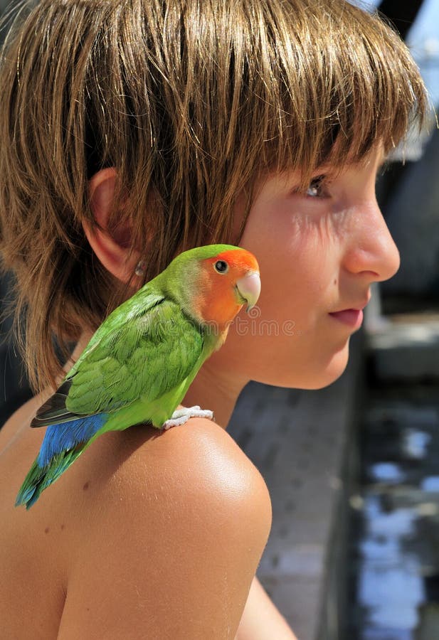 Child with Miniature Parrot Stock Photo - Image of green, teen: 15802078