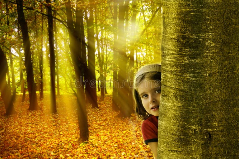 Children Hiding Woods Stock Photos - Free & Royalty-Free Stock Photos ...