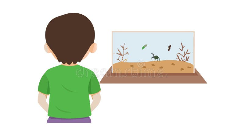 Child Observing Ant Farm, Educational Science Project, Nature Study ...