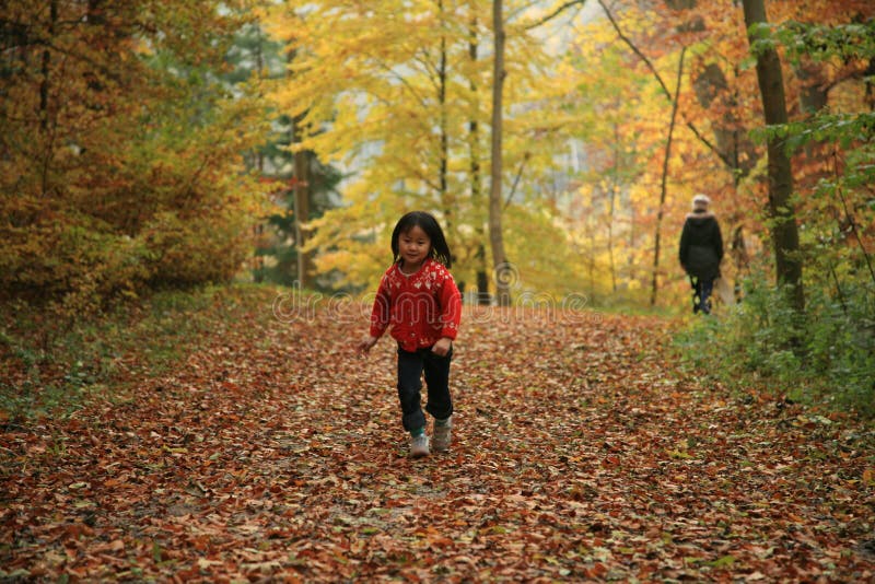 Child outdoor in forest stock photo. Image of autumn - 12242046