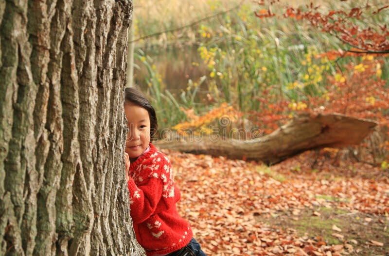 Child outdoor in forest stock photo. Image of asian, autumn - 12242138