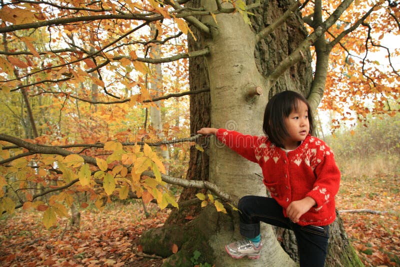 Child outdoor in forest stock image. Image of child, young - 12242229