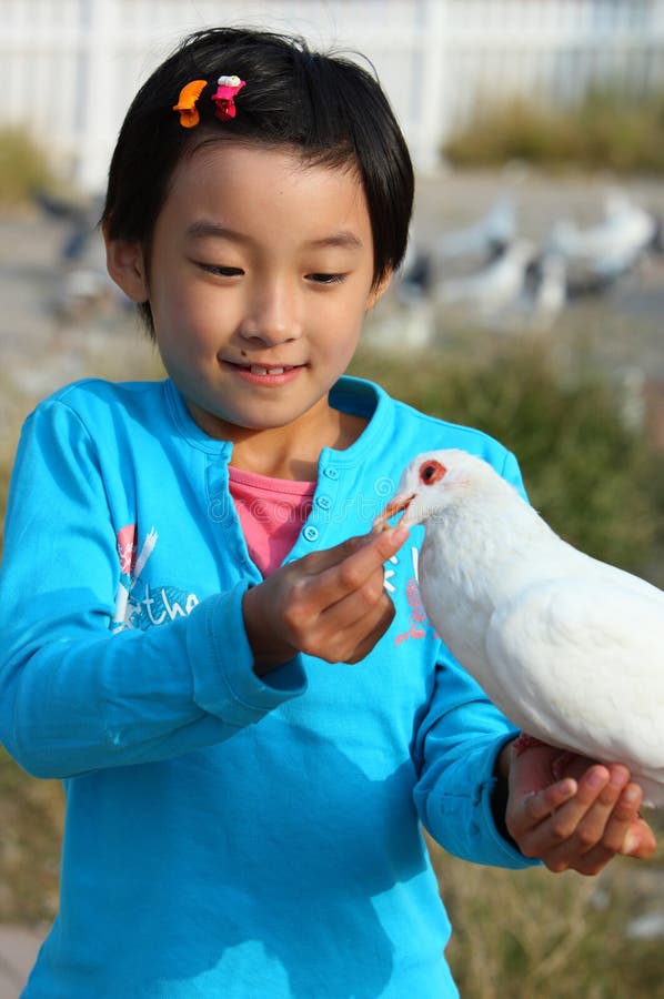 Child with pigeon stock image. Image of child, baby, cute - 6584655