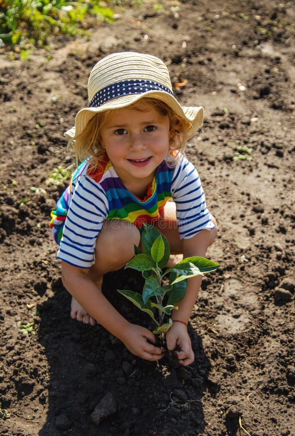 Child Planting a Tree. Selective Focus Stock Photo - Image of ...