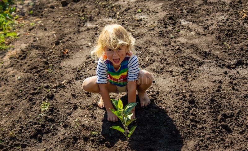 Child Planting a Tree. Selective Focus Stock Image - Image of forest ...