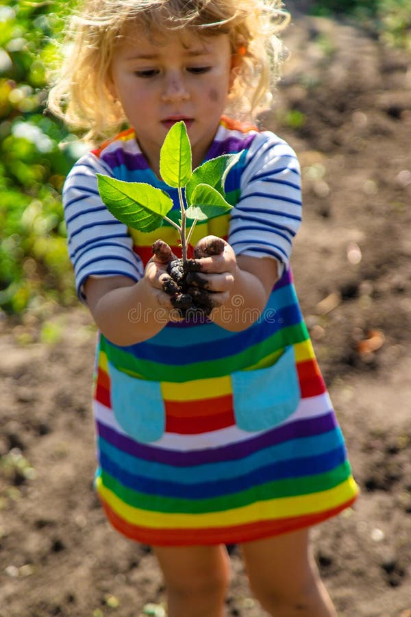 Child Planting a Tree. Selective Focus Stock Image - Image of family ...