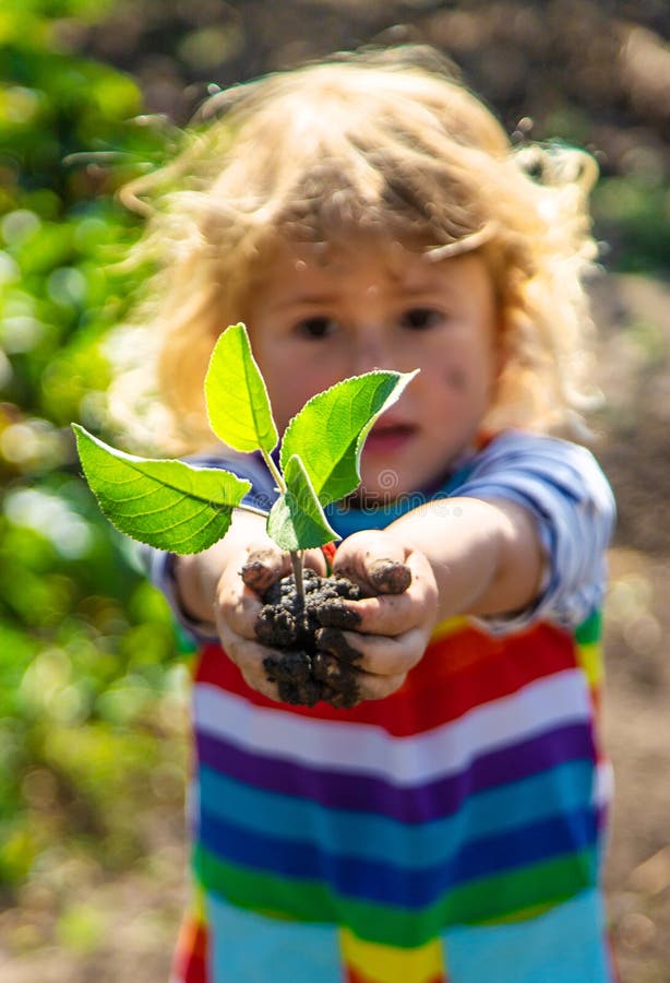 Child Planting a Tree. Selective Focus Stock Image - Image of child ...