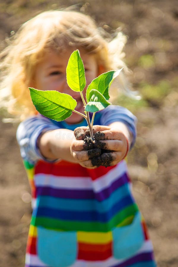 Child Planting a Tree. Selective Focus Stock Image - Image of earth ...